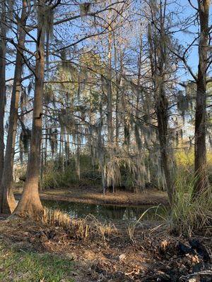 INDIAN BLUFF RECREATION PARK - Updated December 2025 - 157 Red Bank Rd ...