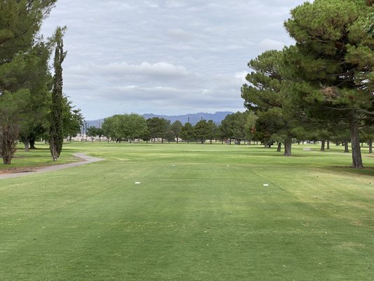 LONE STAR GOLF CLUB - Updated July 2025 - 25 Photos & 17 Reviews - 1510 ...