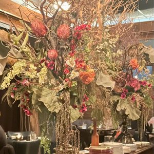 AVVINO - 488 Photos & 318 Reviews - 2541 Monroe Ave, Rochester, NY ...