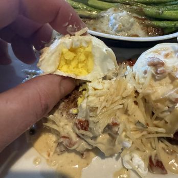 HALF SHELL OYSTER HOUSE - 436 Photos & 415 Reviews - 115 Laurel Park Cv ...