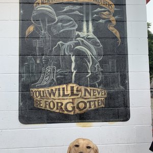 REBEL BAR AND GRILL - 120 Photos & 13 Reviews - Bars - 307 Riverside Dr ...