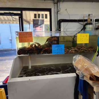 ABC SEAFOOD COMPANY - Updated January 2025 - 40 Photos & 97 Reviews ...