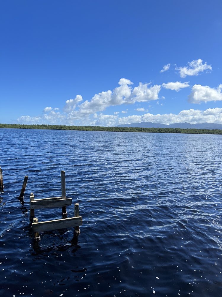 LAGUNA DE PIÑONES - Updated July 2025 - C. Finca Piñones, Carolina ...