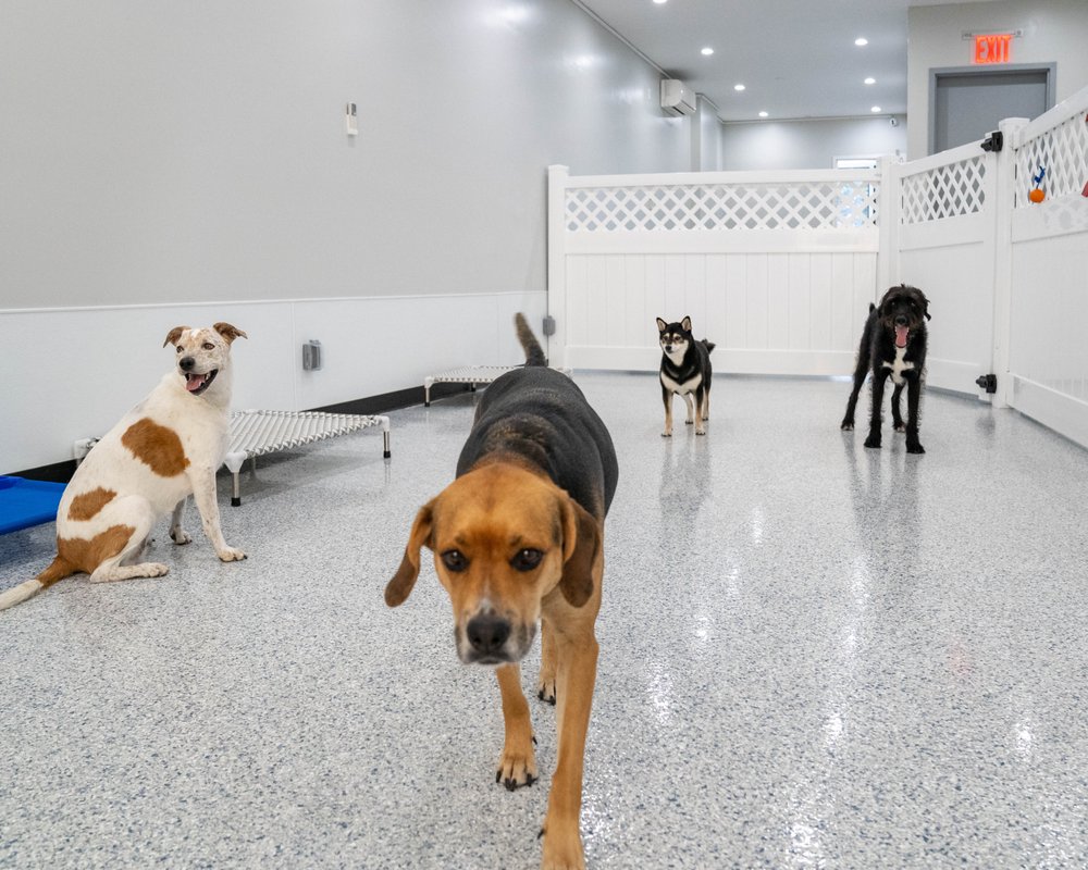 CANINO - Updated September 2025 - 24 Photos - 28-06 21st St, Astoria ...