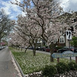 THE RED FERN - Updated December 2025 - 599 Photos & 482 Reviews - 283 ...