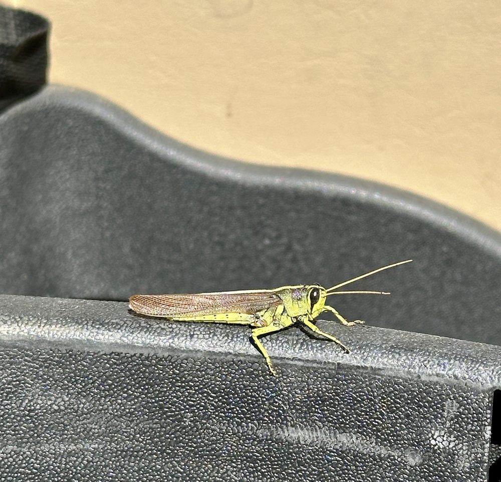 LOST PINES GOLF CLUB - Updated December 2025 - 61 Photos & 30 Reviews ...