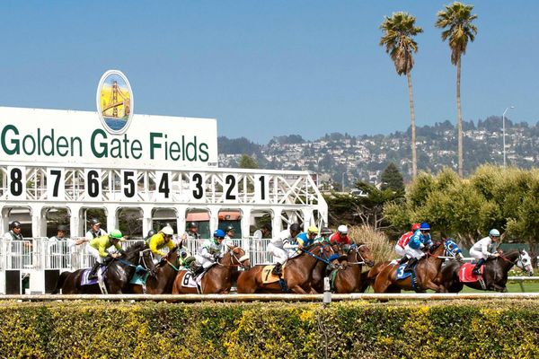 GOLDEN GATE FIELDS RACETRACK - Updated June 2024 - 910 Photos & 462 ...