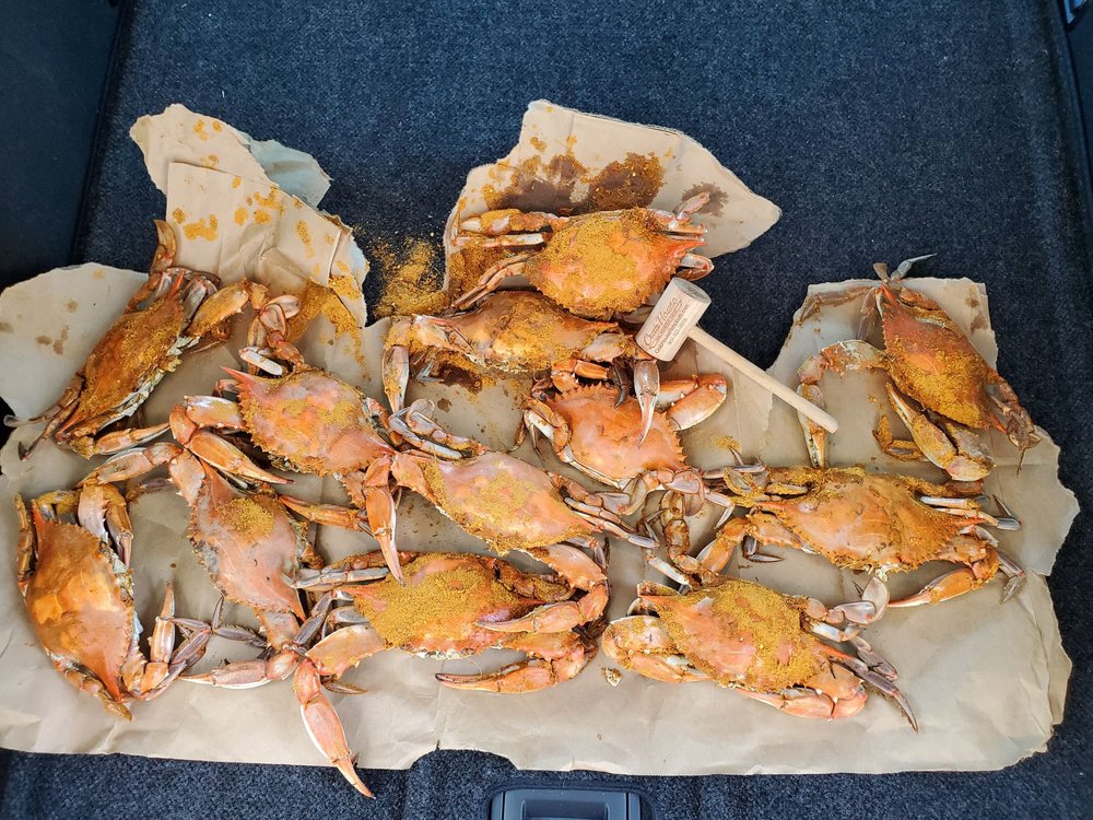 LEWES FISHHOUSE - 30 Photos & 34 Reviews - 17696 Coastal Hwy, Lewes ...