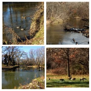 DODGE PARK - 451 Photos & 42 Reviews - Sterling Heights, Michigan ...