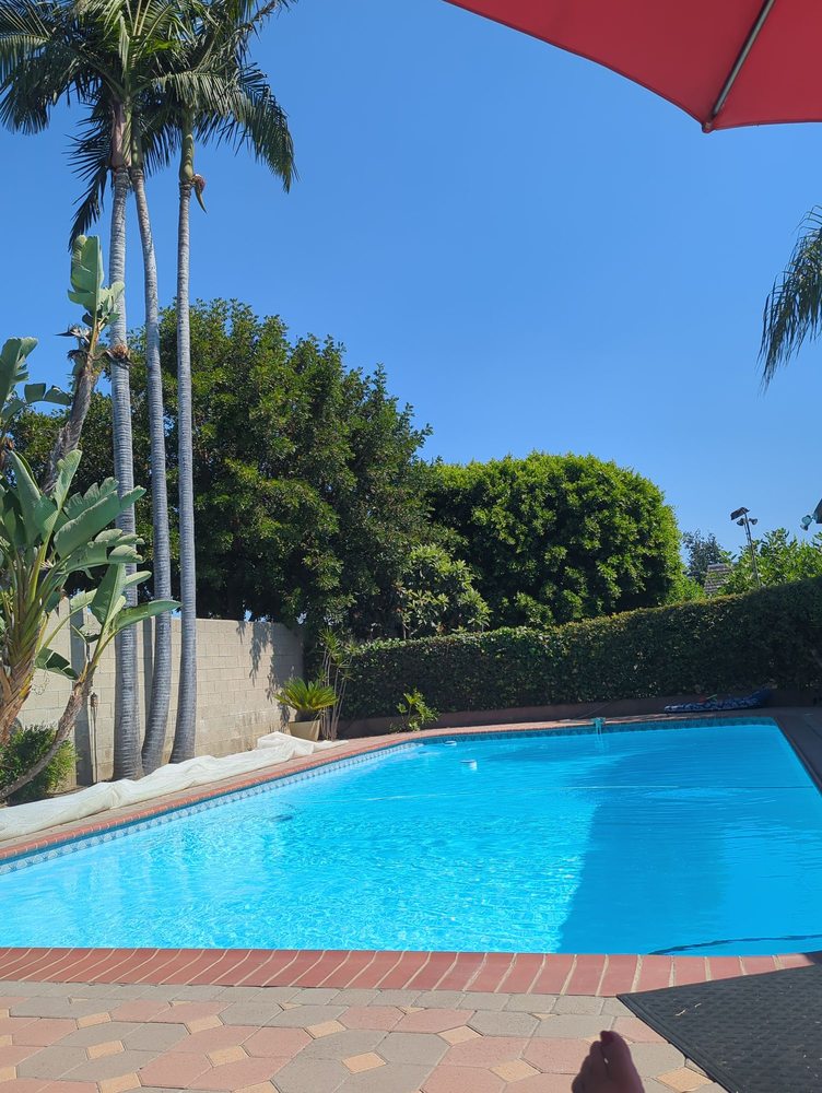 REAL DEAL NEIL POOL - Updated April 2025 - La Puente, California - Pool ...