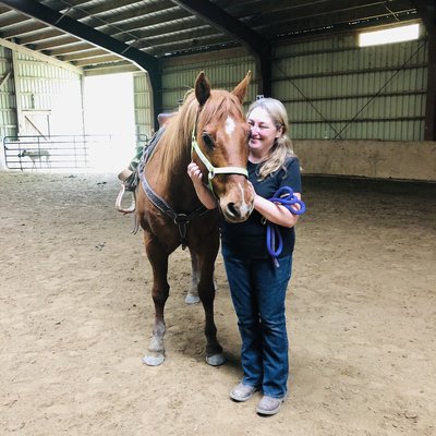 WEST MEADOW STABLES - 78 Photos - 6820 Cook Road, London, ON - Yelp