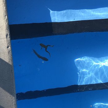 DOUBLE RR RANCH RESORT & GOLF - Updated December 2025 - 21 Photos & 30 ...