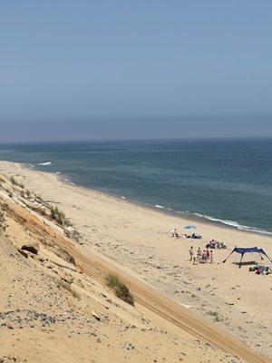 THE BEACHCOMBER - TEMP. CLOSED - Updated October 2025 - 302 Photos ...