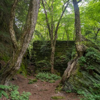 Panama Rocks Scenic Park - 88 Photos & 22 Reviews - Hiking - 11 Rock ...