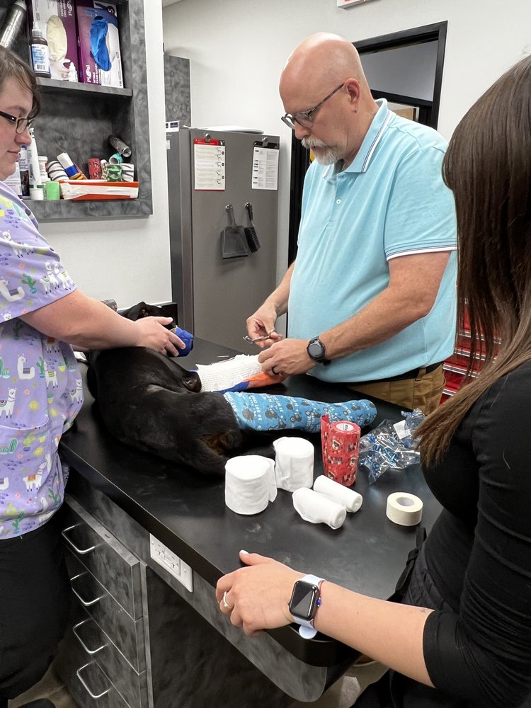 ROTTEN ROTTIE RESCUE - Updated December 2025 - 195 Photos & 27 Reviews ...