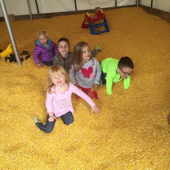 LUCELINE ORCHARD - Updated September 2025 - 104 Photos & 40 Reviews ...