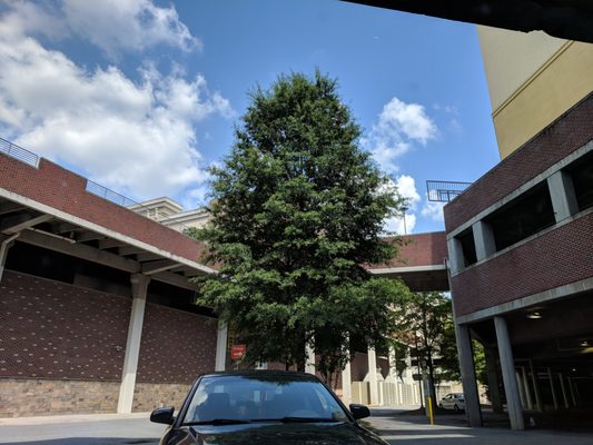 THE DISTRICT AT HOWELL MILL - Updated January 2026 - 10 Photos & 15 ...