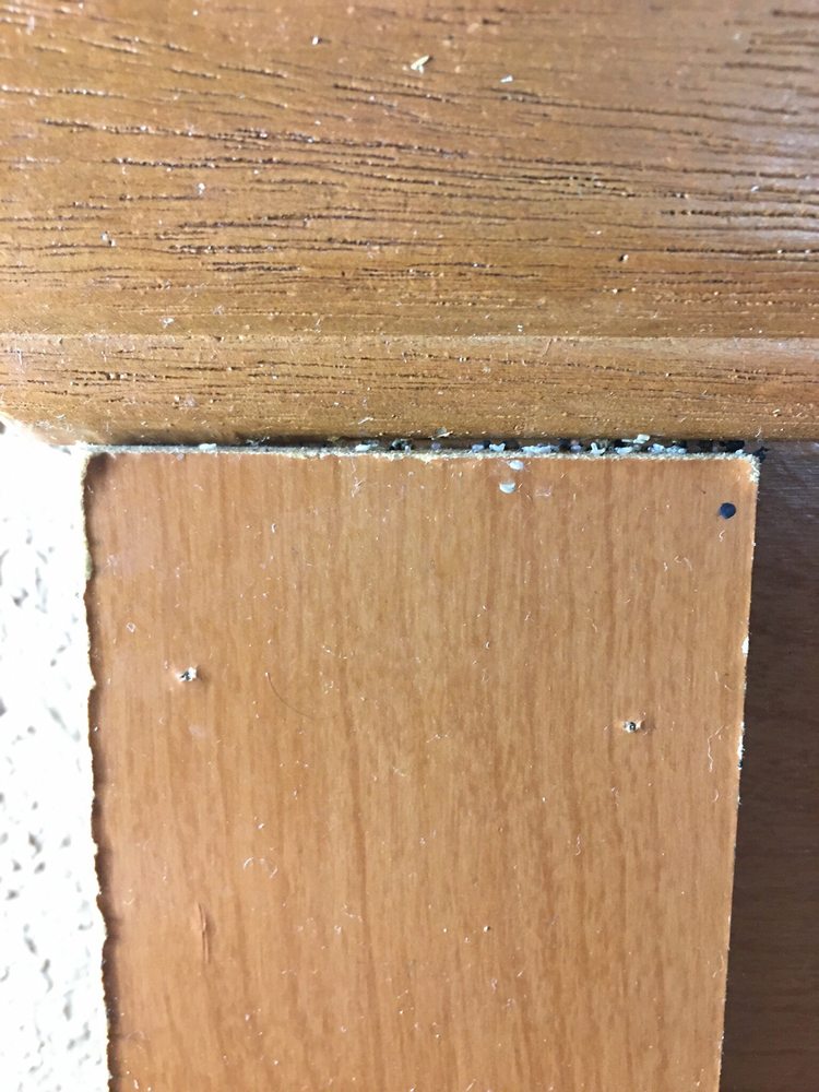 RODEWAY INN - Updated July 2025 - 11 Photos - 400 S 3rd St, Terre Haute ...