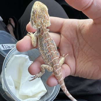 EAST BAY VIVARIUM - Updated November 2024 - 601 Photos & 587 Reviews ...