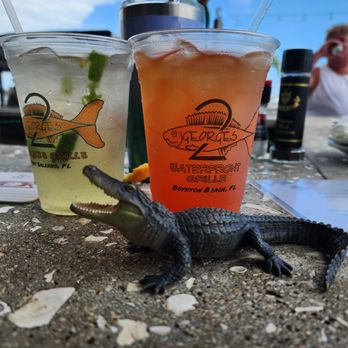 TWO GEORGES DOCKSIDE GRILLE - Updated December 2025 - 94 Photos & 102 ...