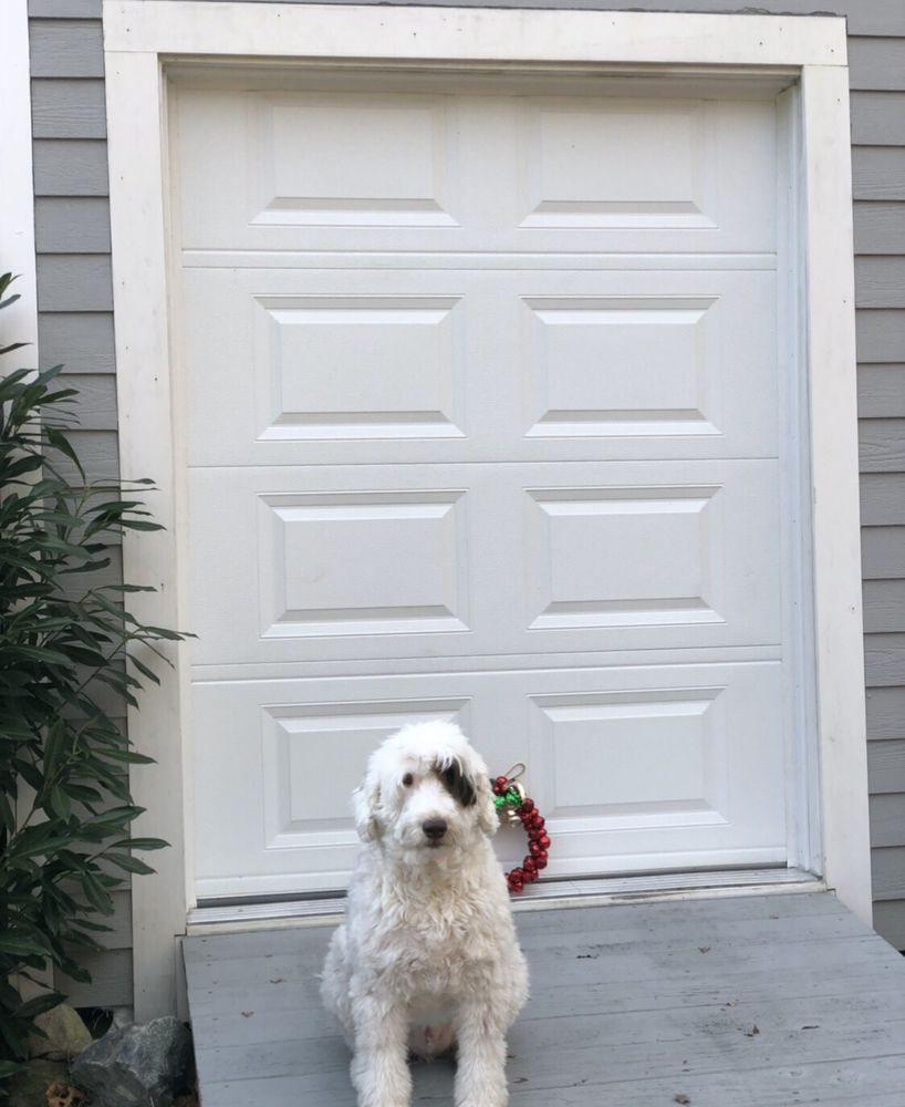 MORIN & PEPIN GARAGE DOOR - Updated June 2026 - 158 Huttleston Ave ...