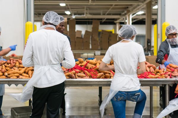 GREATER CHICAGO FOOD DEPOSITORY - Updated September 2024 - 70 Photos ...