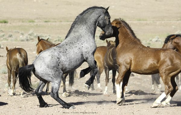 MARY CIOFFI - COLDWELL BANKER SELECT REAL ESTATE - Updated October 2025 ...