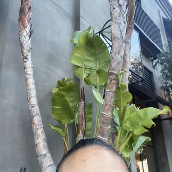 RH ROOFTOP RESTAURANT AT RH MARIN - Updated June 2025 - 2710 Photos ...