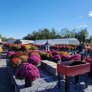 MILLER FARMS - Updated December 2024 - 277 Photos & 222 Reviews - 10140 ...