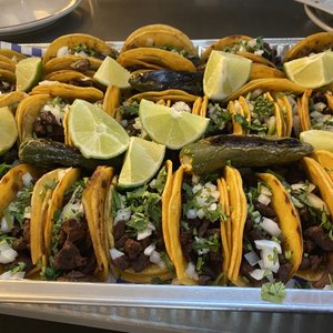 MODESTO TACOS TEQUILA WHISKEY - Updated April 2025 - 326 Photos & 160 ...