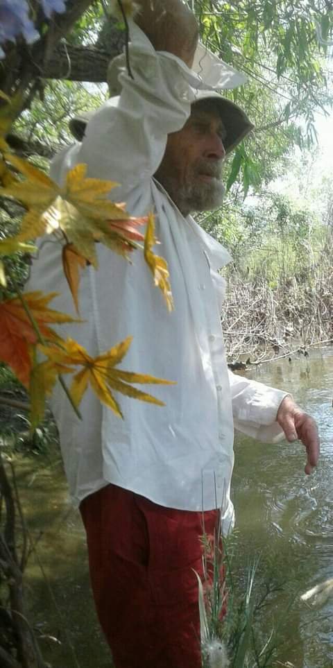 CORT GALLERY - Updated July 2025 - 41881 Sierra Dr, Three Rivers ...