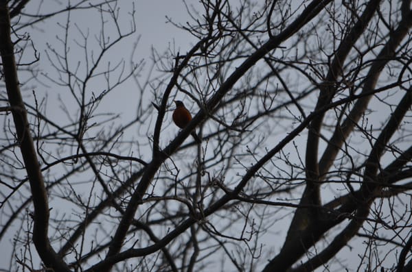 OAK RIDGE PRAIRIE COUNTY PARK - Updated September 2025 - 27 Photos ...