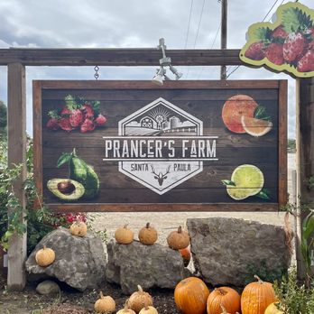 PRANCERS FARM - Updated December 2025 - 173 Photos & 51 Reviews - 18540 ...