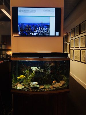 NEIL A WEINRIB & ASSOCIATES - Updated January 2026 - 12 Photos & 22 ...