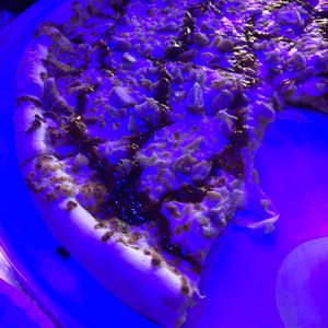 THE RUSH FUNPLEX - 22 Photos - Arcades - 7323 Jordan Landing Blvd, West ...