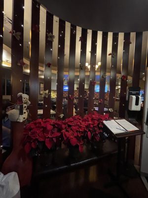 CHOYA JAPANESE CUISINE - Updated January 2025 - 380 Photos & 392 ...