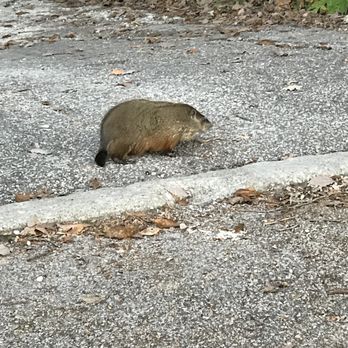 SPRING MILL INN AT SPRING MILL STATE PARK - Updated July 2025 - 194 ...