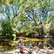 MICKE GROVE PARK - 153 Photos & 56 Reviews - 11793 N Micke Grove Rd ...