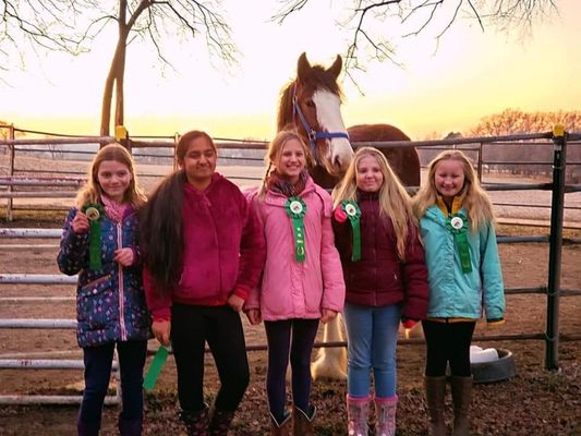 SUN FIRE STABLES - Updated December 2025 - 14 Photos - 33822 High Dr ...