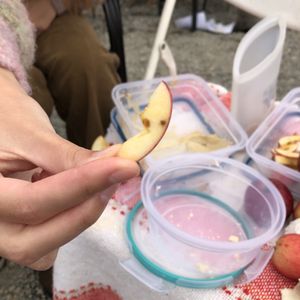 HEMSTROM VALLEY TREE FARM CHRISTMAS TREES - Updated August 2024 - 19 ...