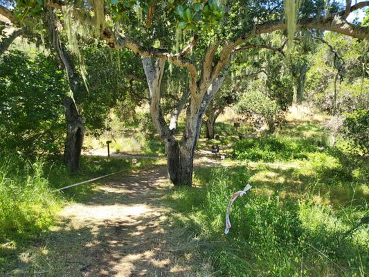 TORO PARK - Updated April 2026 - 89 Photos & 62 Reviews - 501 Monterey ...