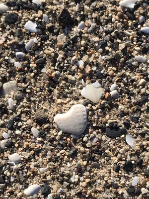 DEL REY LAGOON - 114 Photos & 45 Reviews - 6660 Esplanade Pl, Playa Del ...