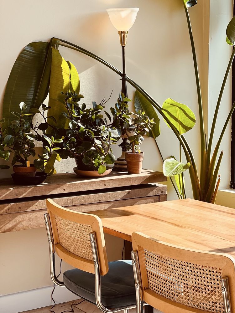 RISING STAR COFFEE ROASTERS - Updated January 2026 - 224 Photos & 174 ...