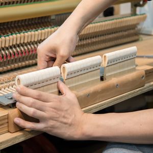 JON DELONG-PIANO TUNING & REPAIR - Updated November 2024 - Moss Beach ...