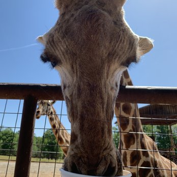 LAZY 5 RANCH - Updated August 2025 - 862 Photos & 297 Reviews - 15100 ...