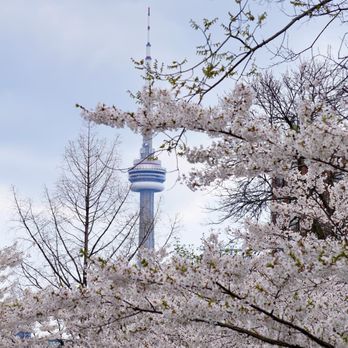 TRINITY BELLWOODS PARK - Updated December 2025 - 199 Photos & 100 ...