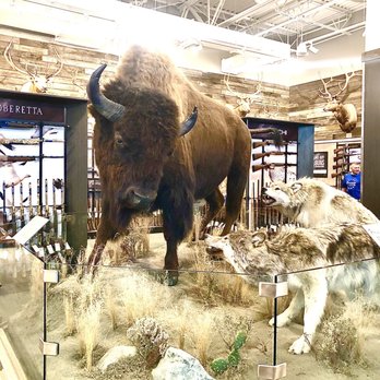 SCHEELS - 204 Photos & 96 Reviews - 4755 Ronald Reagan Blvd, Johnstown ...