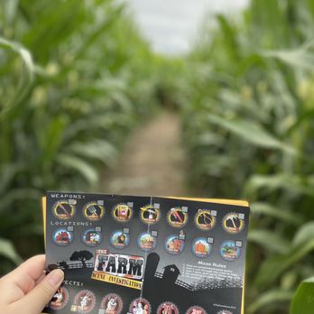 KNUTSON FARMS - Updated October 2025 - 155 Photos & 41 Reviews - 16406 ...