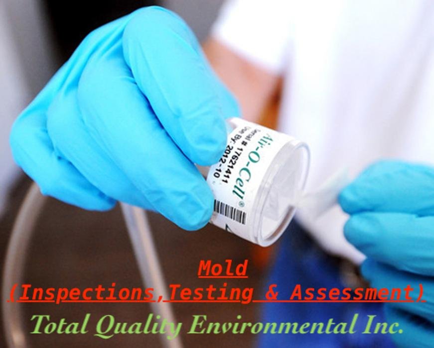 TOTAL QUALITY ENVIRONMENTAL - Updated October 2025 - 44 Photos - 116 ...