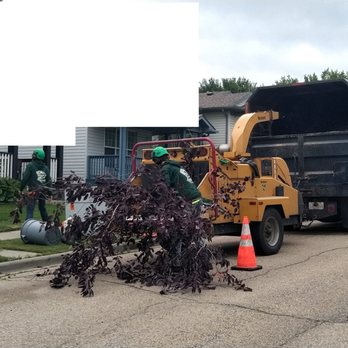 ALL SEASON TREE SERVICE - Updated December 2025 - 46 Photos - PO Box ...